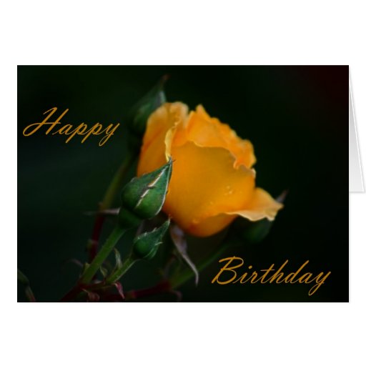 Happy Birthday Yellow Rose Greeting Card Zazzle