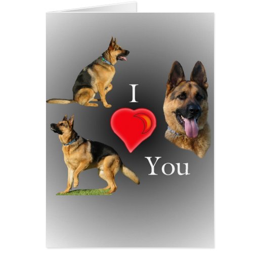 I Love You German Shepherd Card Zazzle