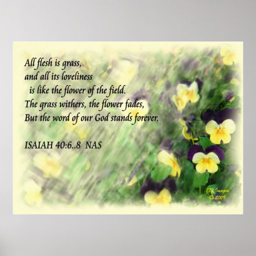 Isaiah 40 6 8 Bible Verse Poster Zazzle Isaiah 40 6 8 Bible Verse Poster Zazzle