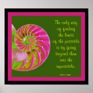 Chambered Nautilus Poem Nautilus Magazine Of New Thought EBook