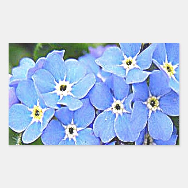 Forget Me Not Stickers | Zazzle CA