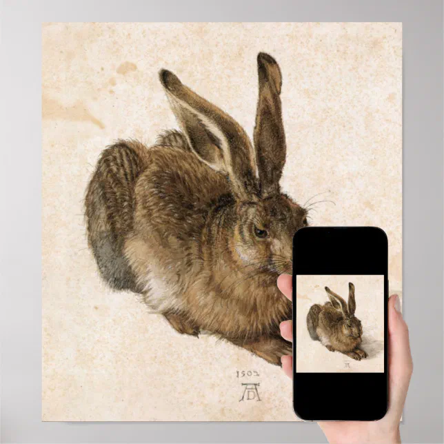 Albrecht Dürer - Junger Hase (Young Hare), 1502 Poster | Zazzle