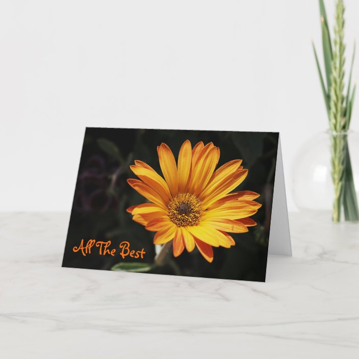All The Best - Good Luck Card | Zazzle.ca