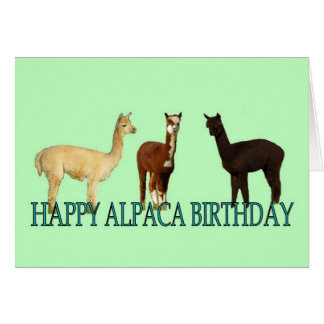 Alpaca Birthday Cards, Photocards, Invitations & More