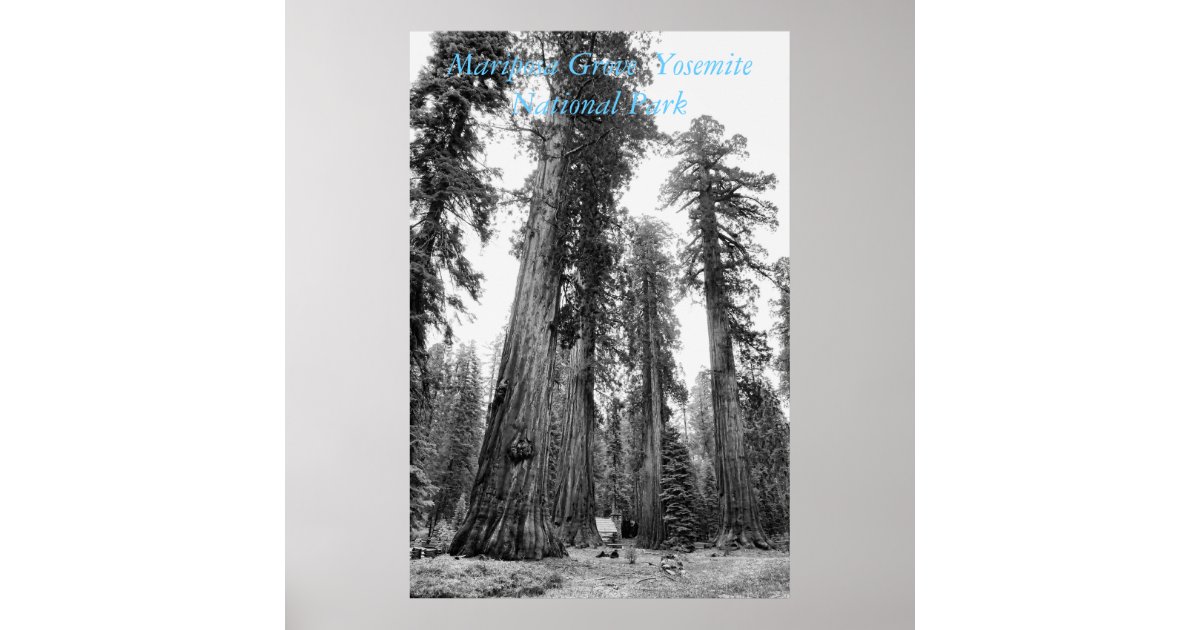 Among Giants poster | Zazzle