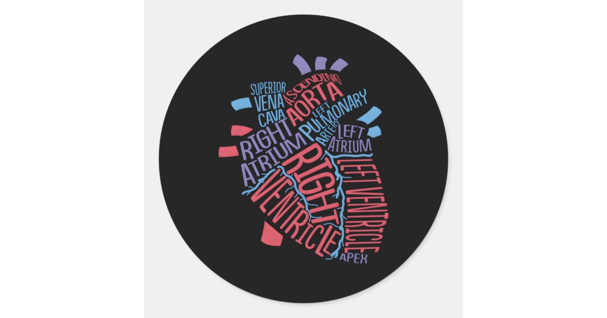 Anatomical Hu He Cardiology Medical Cardiac Nurse Classic Round Sticker ...