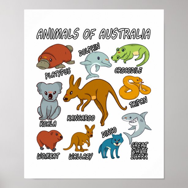 Australian Animal Posters, Prints & Poster Printing | Zazzle CA