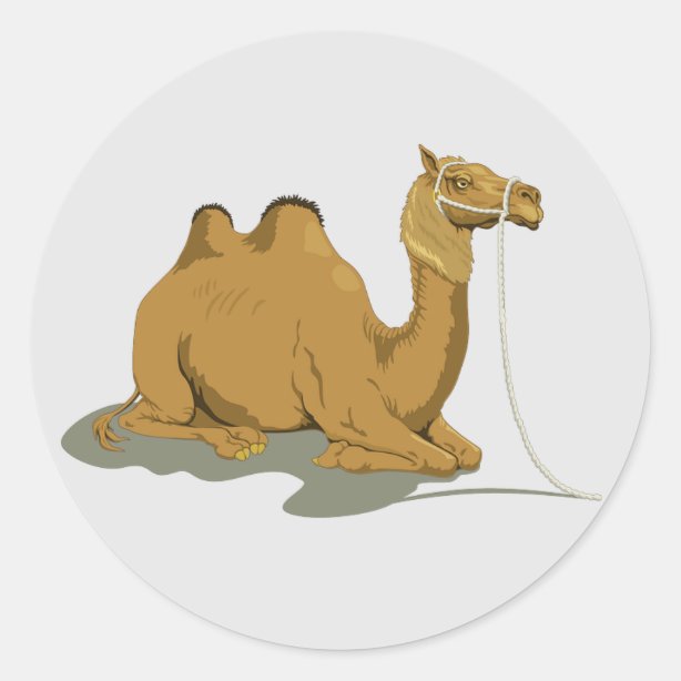 Camel Stickers | Zazzle CA