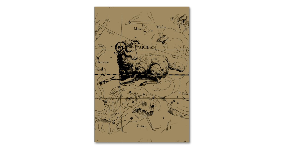 Aries Constellation Map Hevelius circa 1690 Table Number | Zazzle