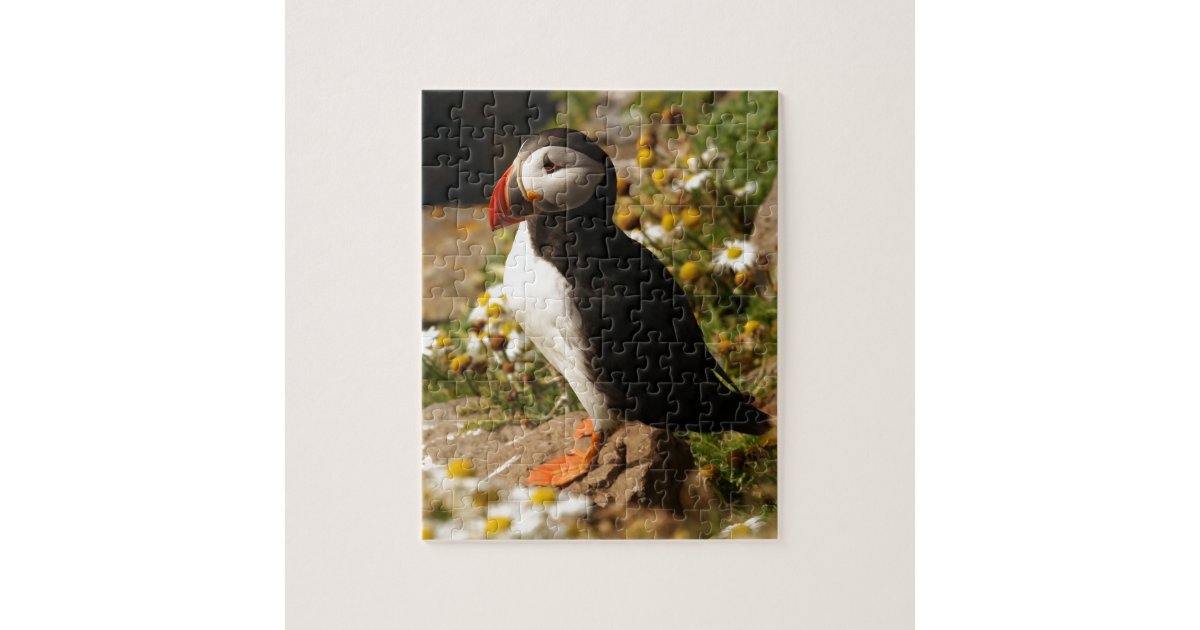 Atlantic Puffin Jigsaw Puzzle | Zazzle