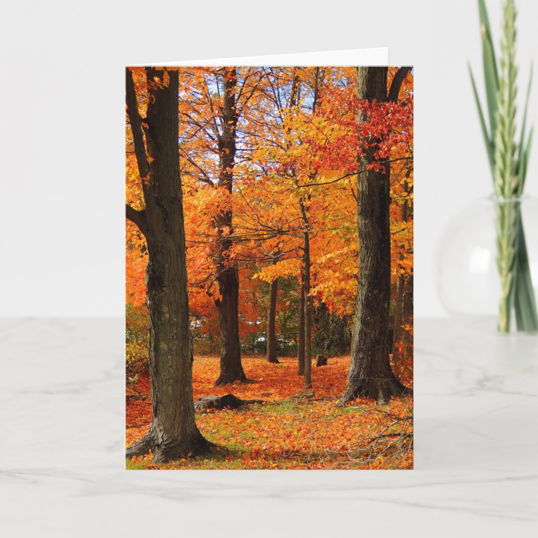 Autumn Greetings Card | Zazzle