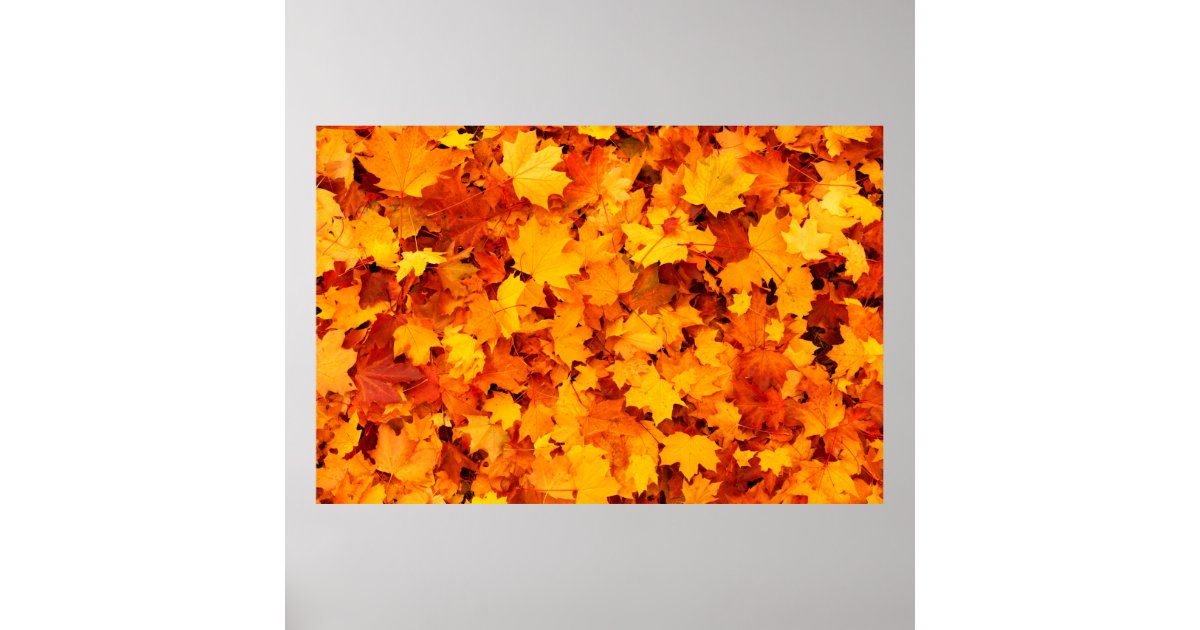 Autumn leaves foliage autumn leaves poster | Zazzle
