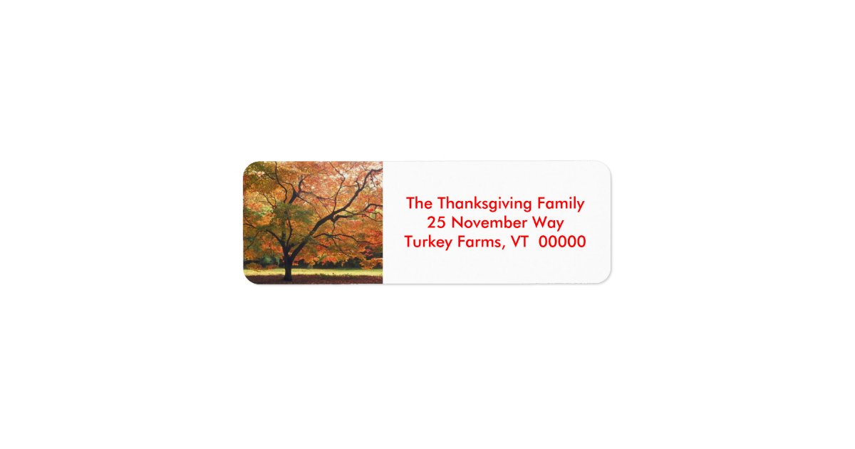 Autumn Tree Photo Return Address Labels Sticker | Zazzle