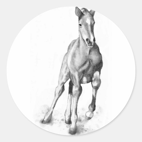 Baby Horse, Colt Running: Pencil Art Classic Round Sticker | Zazzle.ca