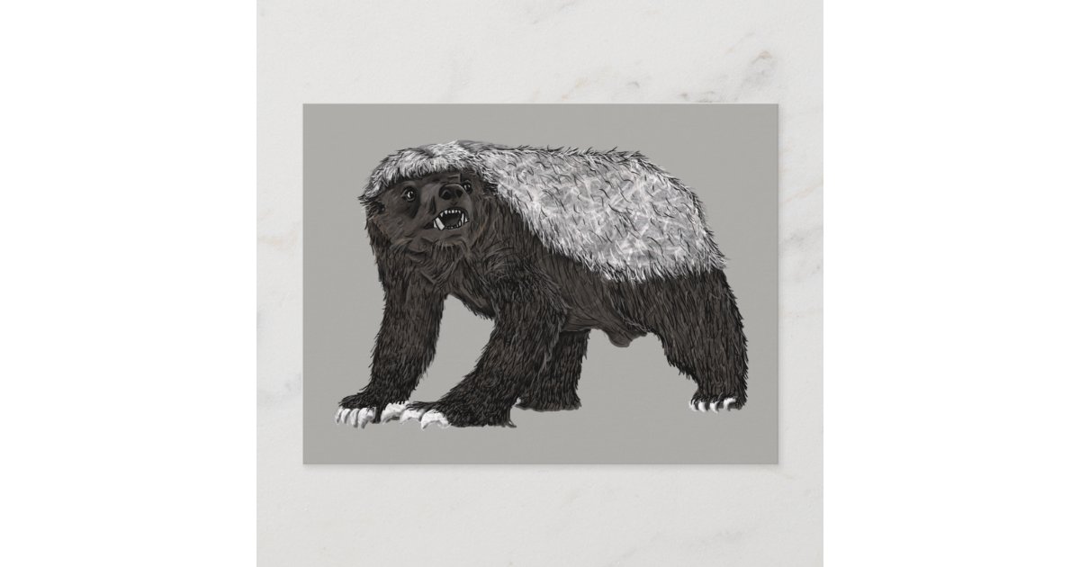 Badass Honey Badger Fearless Attitude Animal Art Postcard | Zazzle