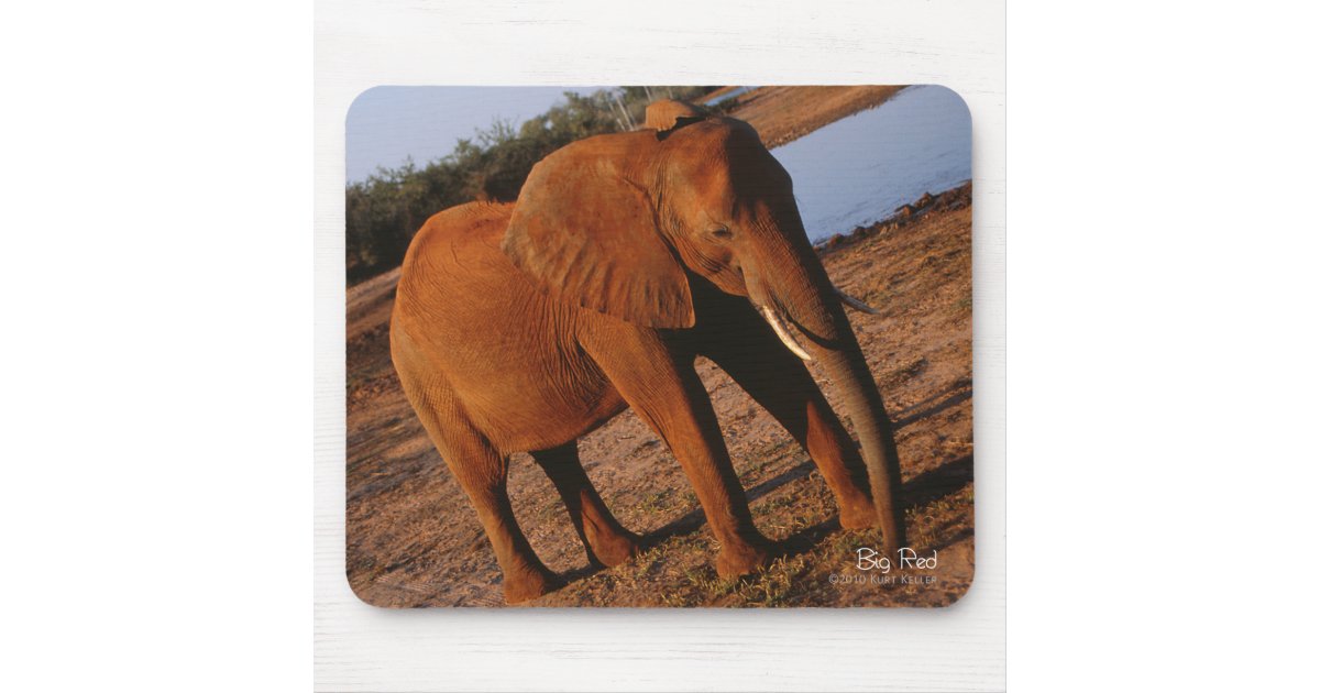 Big Red Elephant Mouse Pad | Zazzle