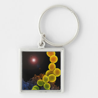 Microbiology Gifts - Microbiology Gift Ideas on Zazzle.ca