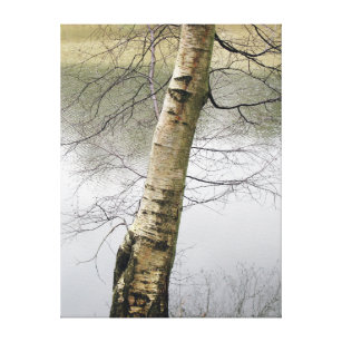Birch Tree Canvas Prints & Wall Art | Zazzle.ca