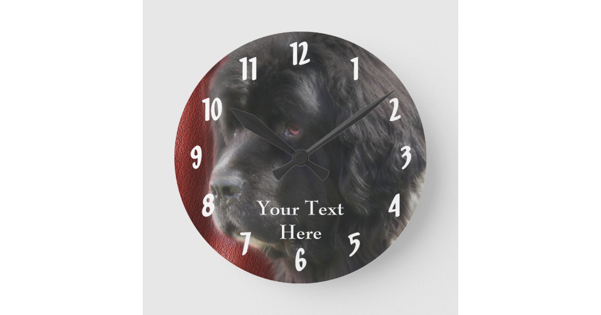 Black Newfoundland Dog Face Round Clock | Zazzle