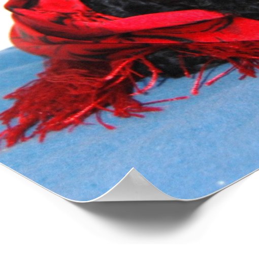 Black Toy Poodle puppy with red scarf Poster | Zazzle