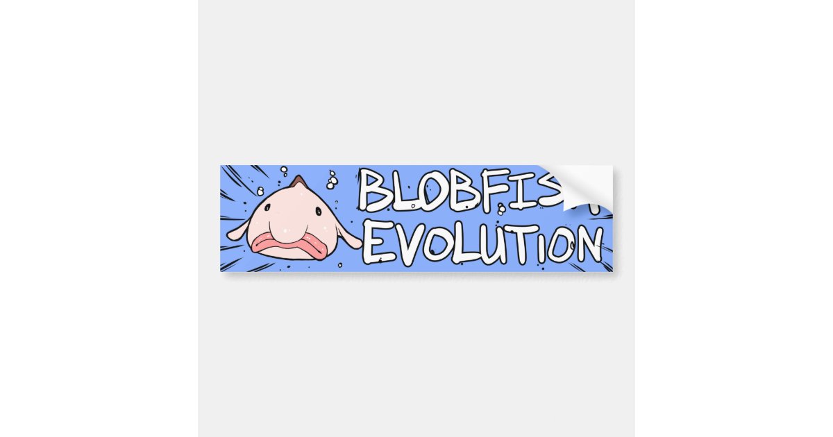 Blobfish Evolution Bumper Sticker | Zazzle