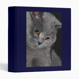 Cat Binders, Custom Cat Binder Designs, 3 Ring Binders