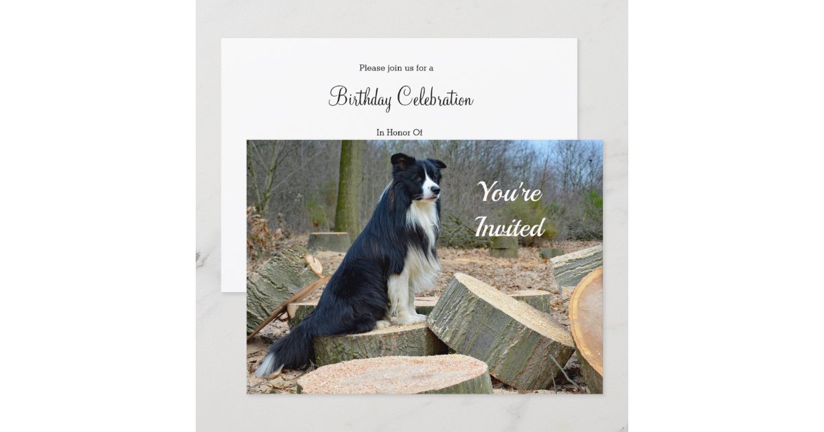 Border Collie Birthday Invitation | Zazzle