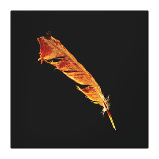 Haida Art, Haida Prints, Posters, Framed Art & More