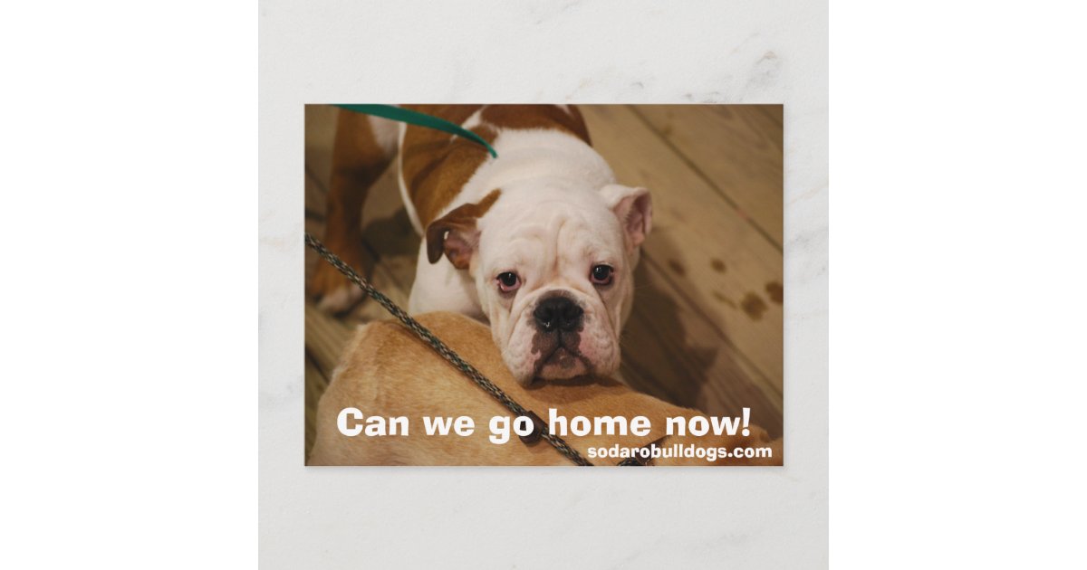 Can we go home now! postcard | Zazzle