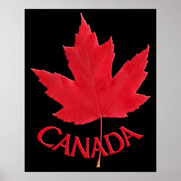 Maple Leaf Art & Wall Décor | Zazzle.ca