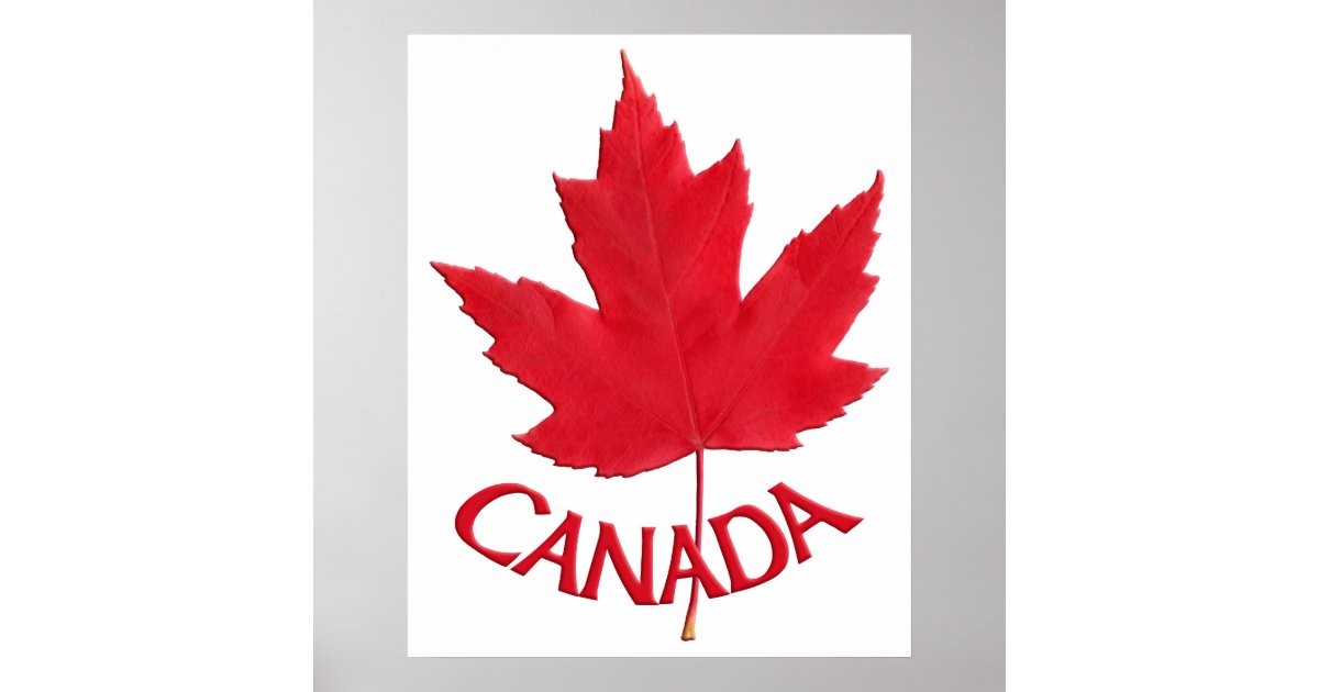 Canada Poster Canada Maple Leaf Souvenir Print | Zazzle