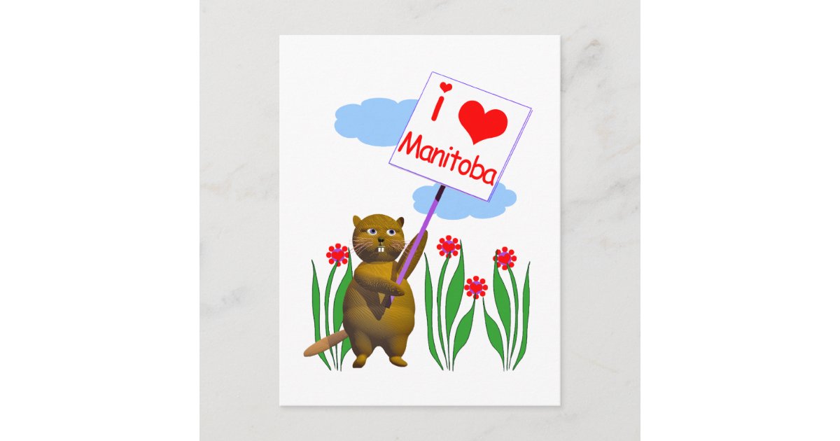 Canadian Beaver Loves Manitoba Postcard | Zazzle