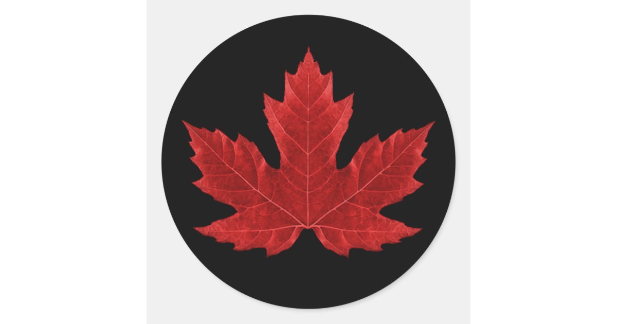Canadian Maple Leaf Sticker | Zazzle