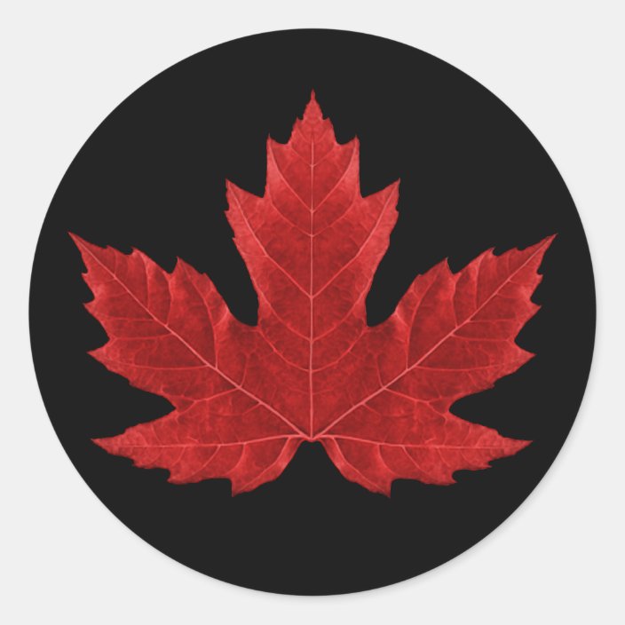 Canadian Maple Leaf Sticker | Zazzle.ca