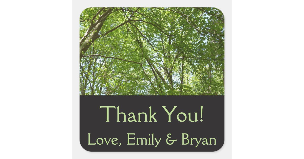 Canopy of Spring Leaves Green Nature Scene Square Sticker | Zazzle