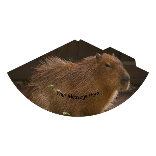 Capybara Party Hat | Zazzle.ca