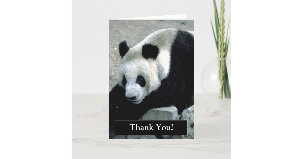 Carte d'ours panda de Merci | Zazzle.ca
