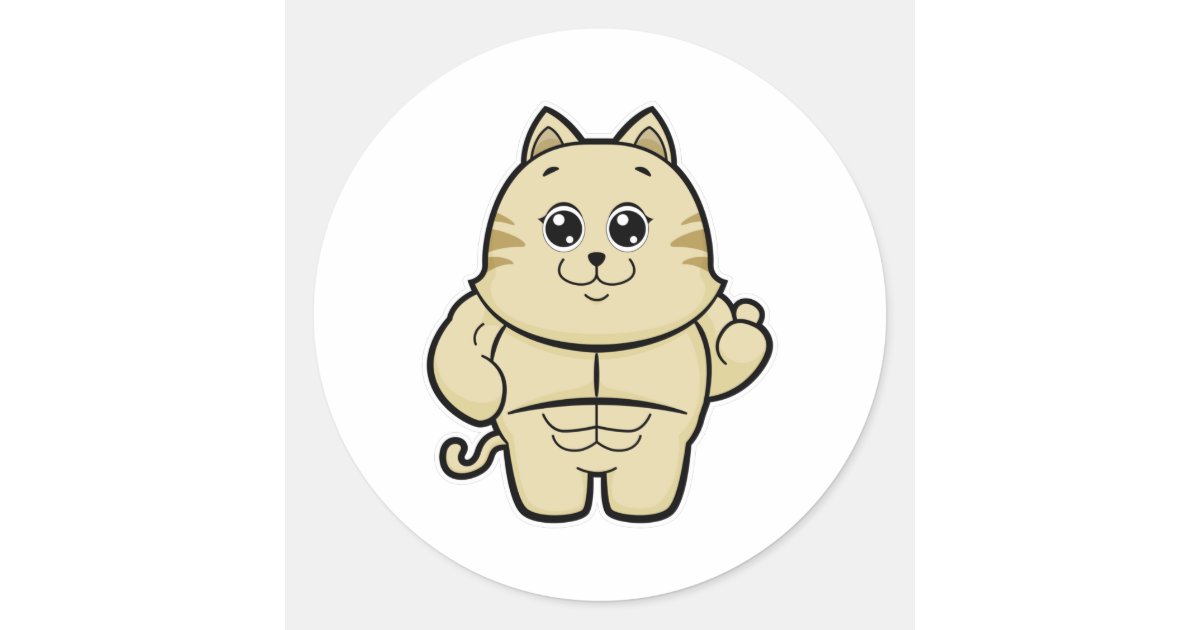 Cat as Bodybuilder with Six pack Classic Round Sticker | Zazzle