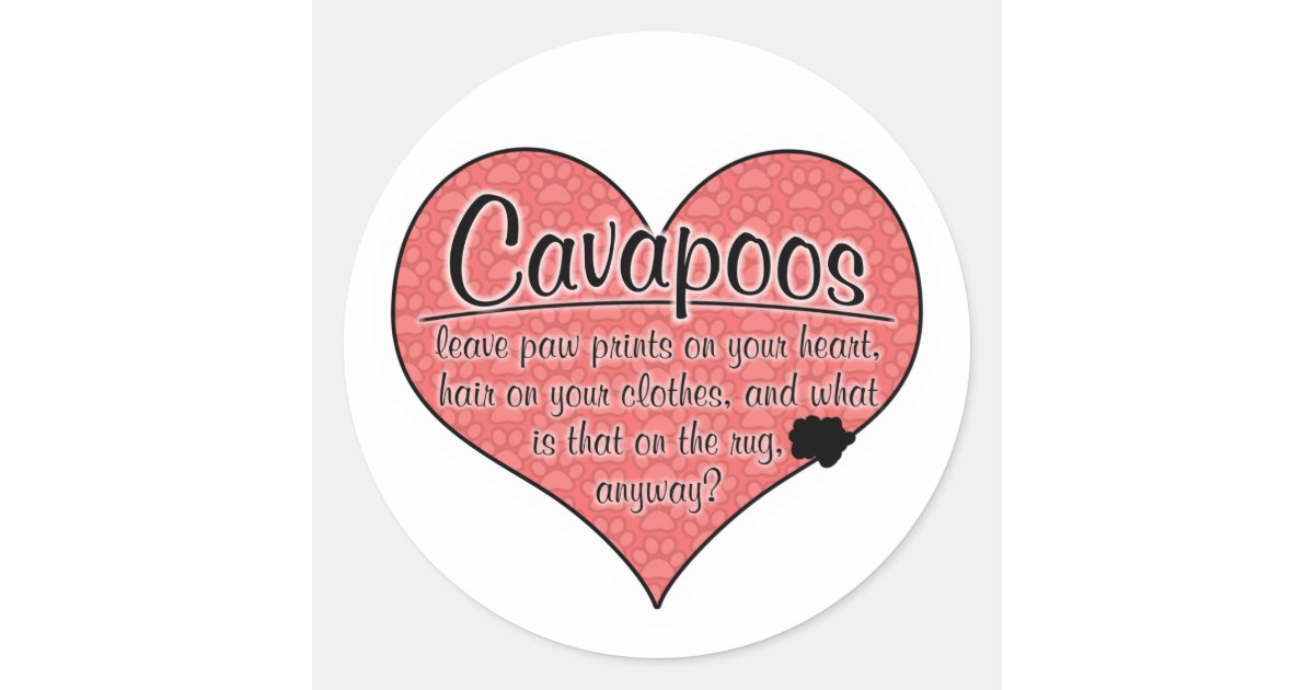 Cavapoo Paw Prints Dog Humour Classic Round Sticker | Zazzle