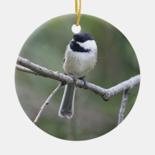 Chickadee Christmas Ornaments | Zazzle CA