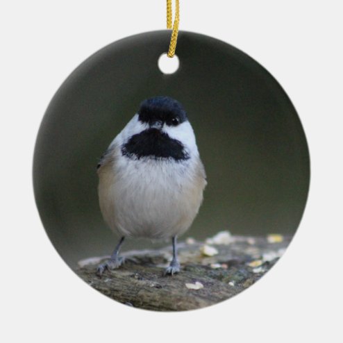 Chickadee Christmas Ornaments | Zazzle CA