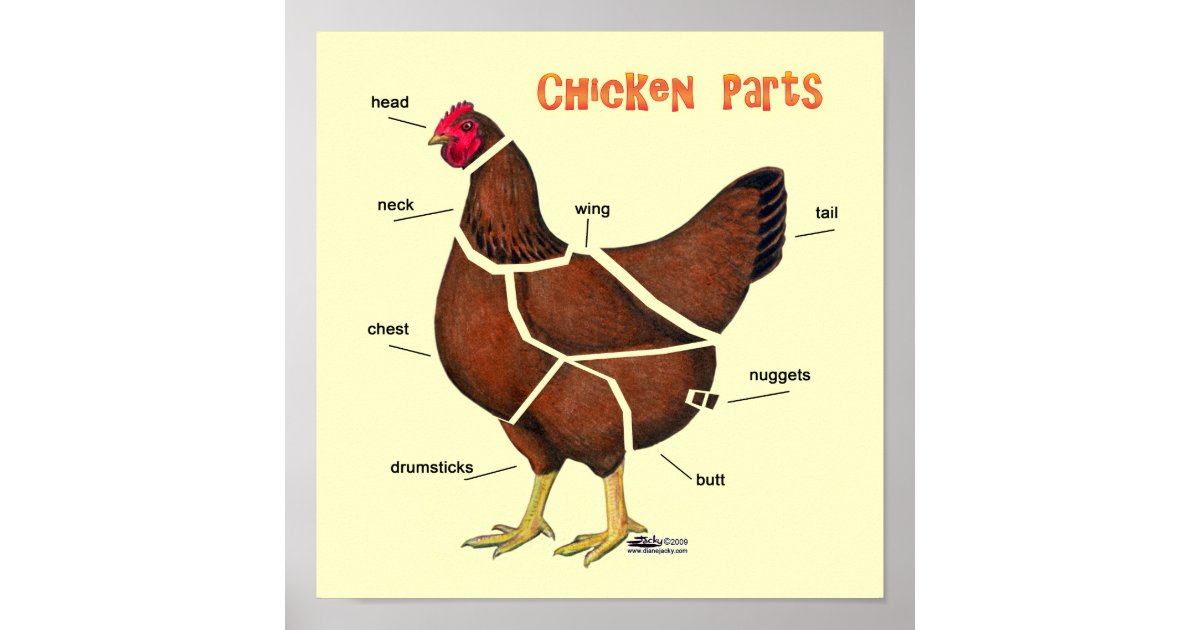 Chicken Parts Poster | Zazzle