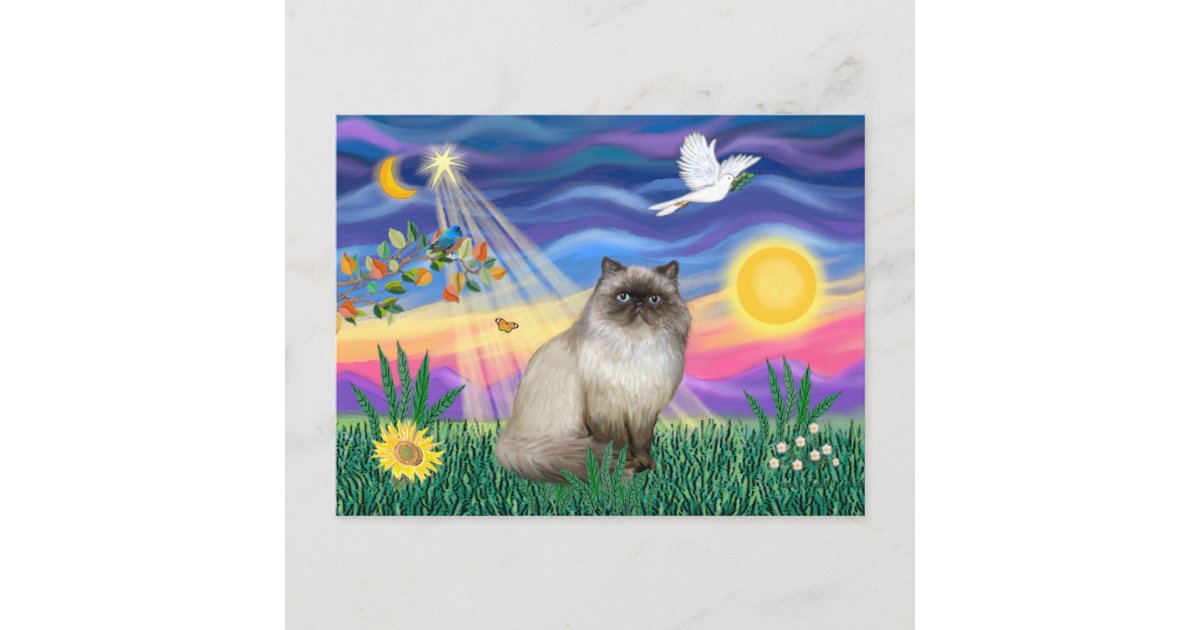 Chocolate Point Himalayan Cat - Twilight Postcard | Zazzle