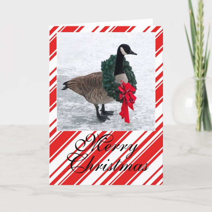 Christmas Goose with Wreath Holiday Card | Zazzle.ca