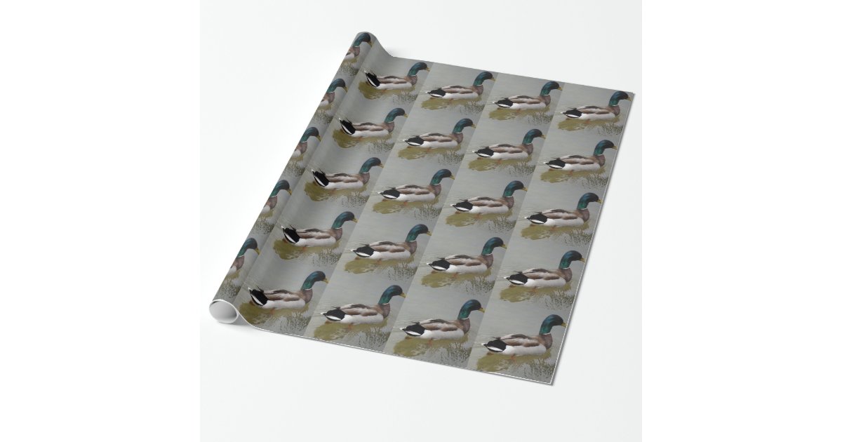 CLASSIC MALLARD DUCK WRAPPING PAPER | Zazzle