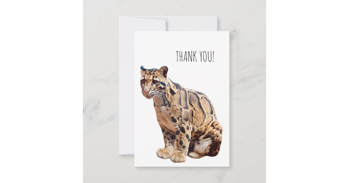clouded leopard photograph jungle big cat animal thank you card | Zazzle
