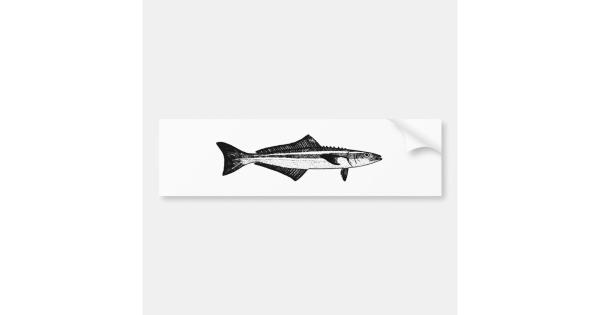 Cobia Line Art Logo Bumper Sticker | Zazzle
