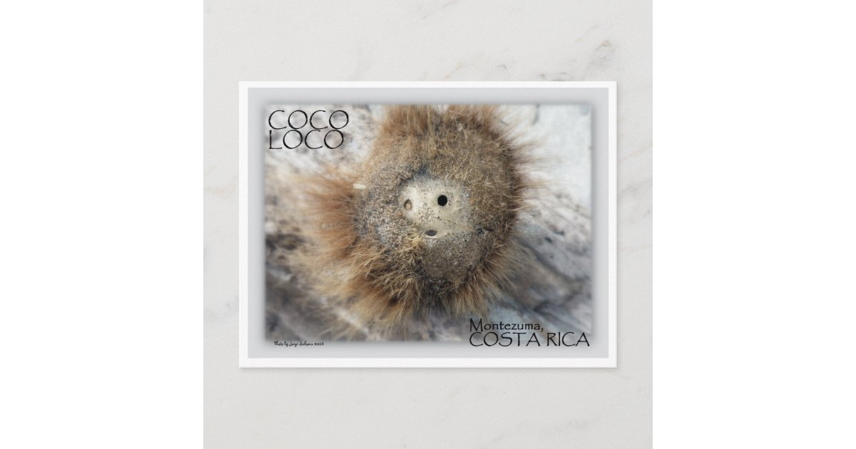 COCO LOCO NUT POSTCARD | Zazzle
