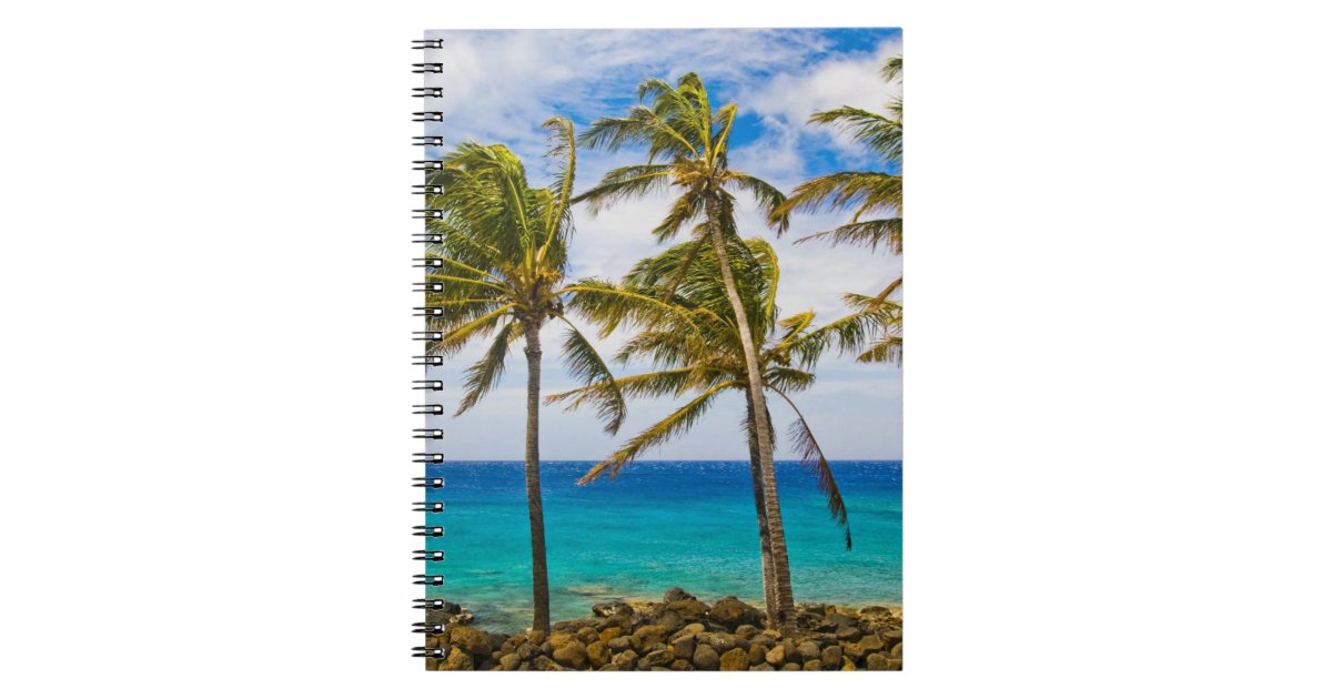 Coconut palm trees (Cocos nucifera) swaying in Notebook | Zazzle
