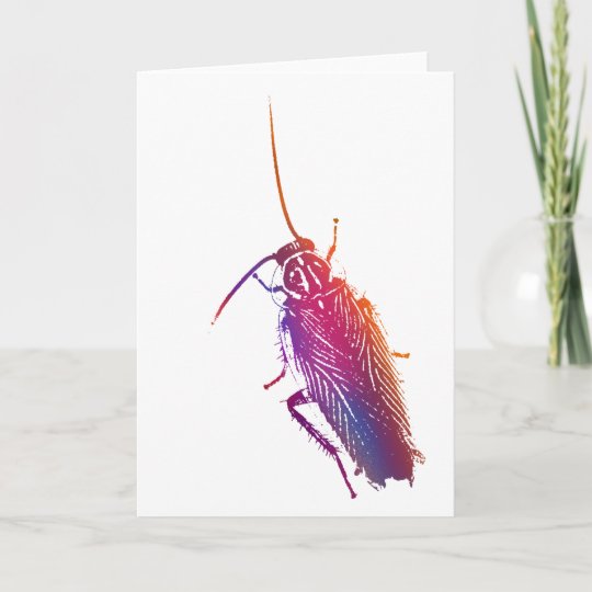Colourful Cockroach Card | Zazzle.ca